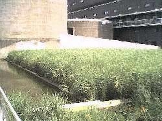 Zelf afvalwater zuiveren met een IBA | Habitos.be